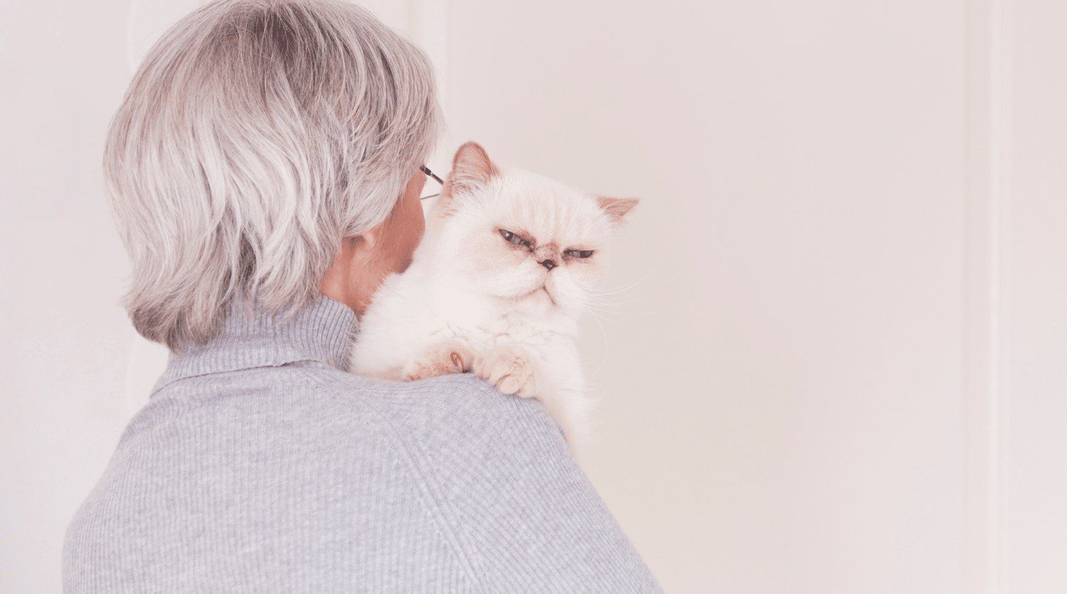 Stille Begleiter in schweren Zeiten: Wie Katzen bei der ...